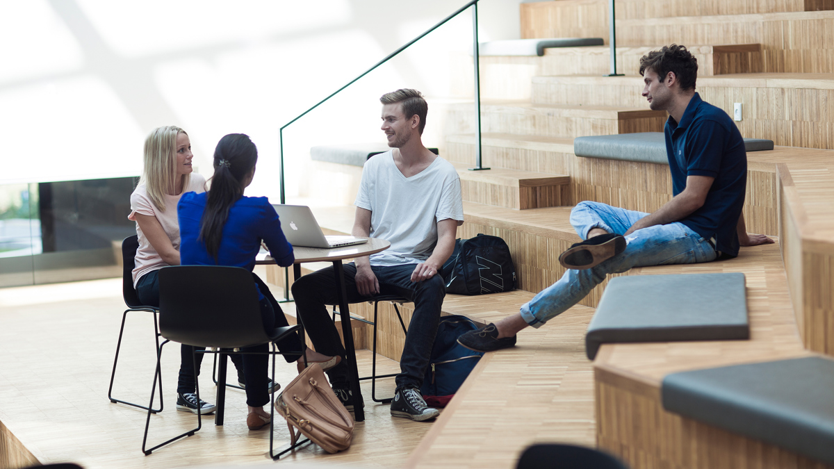 Multimedia Design | AP (Associate) degree | BAAA - Denmark